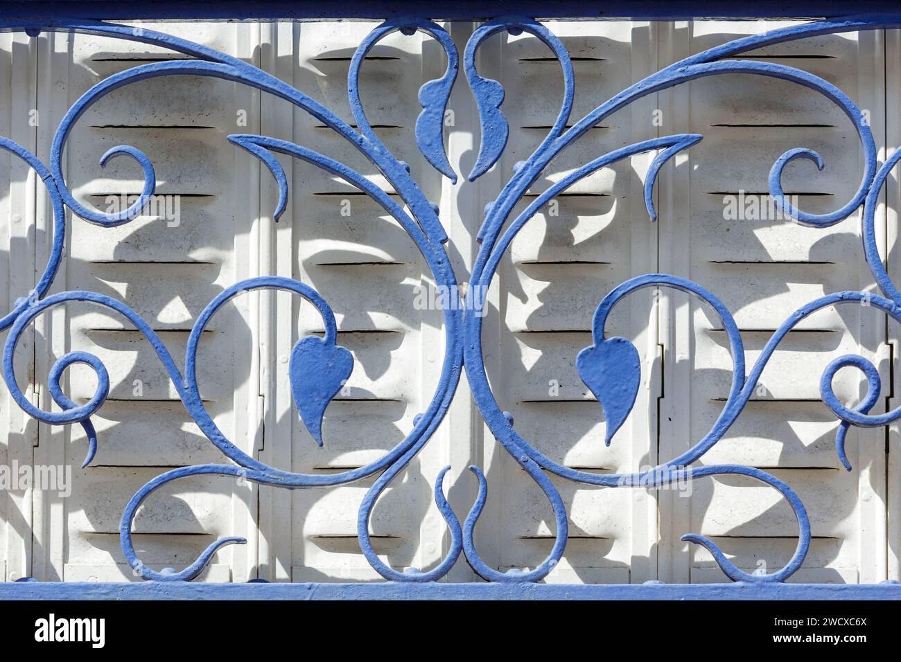 France, Meurthe et Moselle, Nancy, detail of the ironwork made of ...