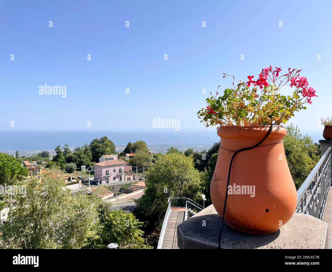 Milo sea hi-res stock photography and images - Alamy