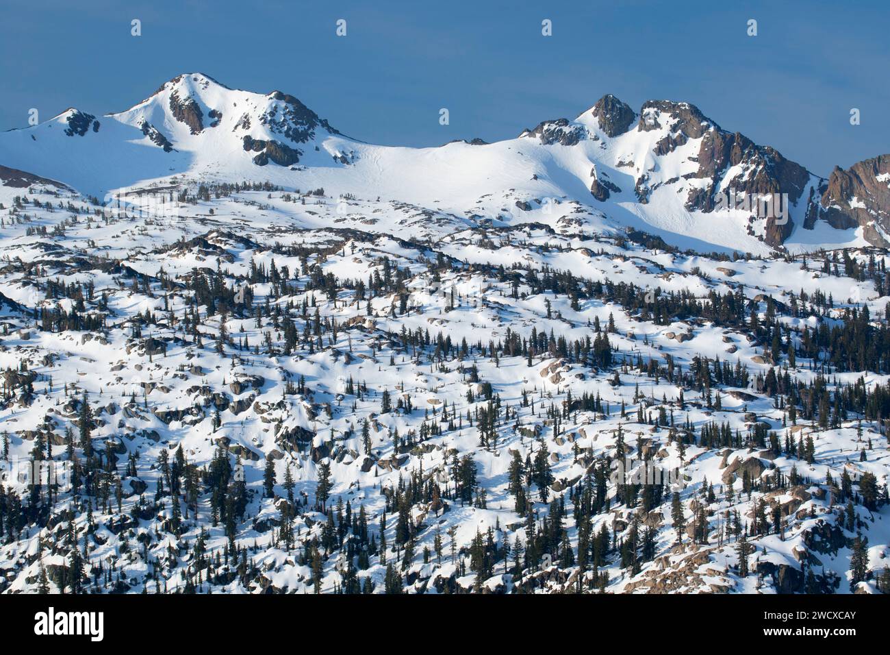 Sierra crest slope from Pacific Crest Trail, Carson Pass National Scenic Byway, El Dorado ...