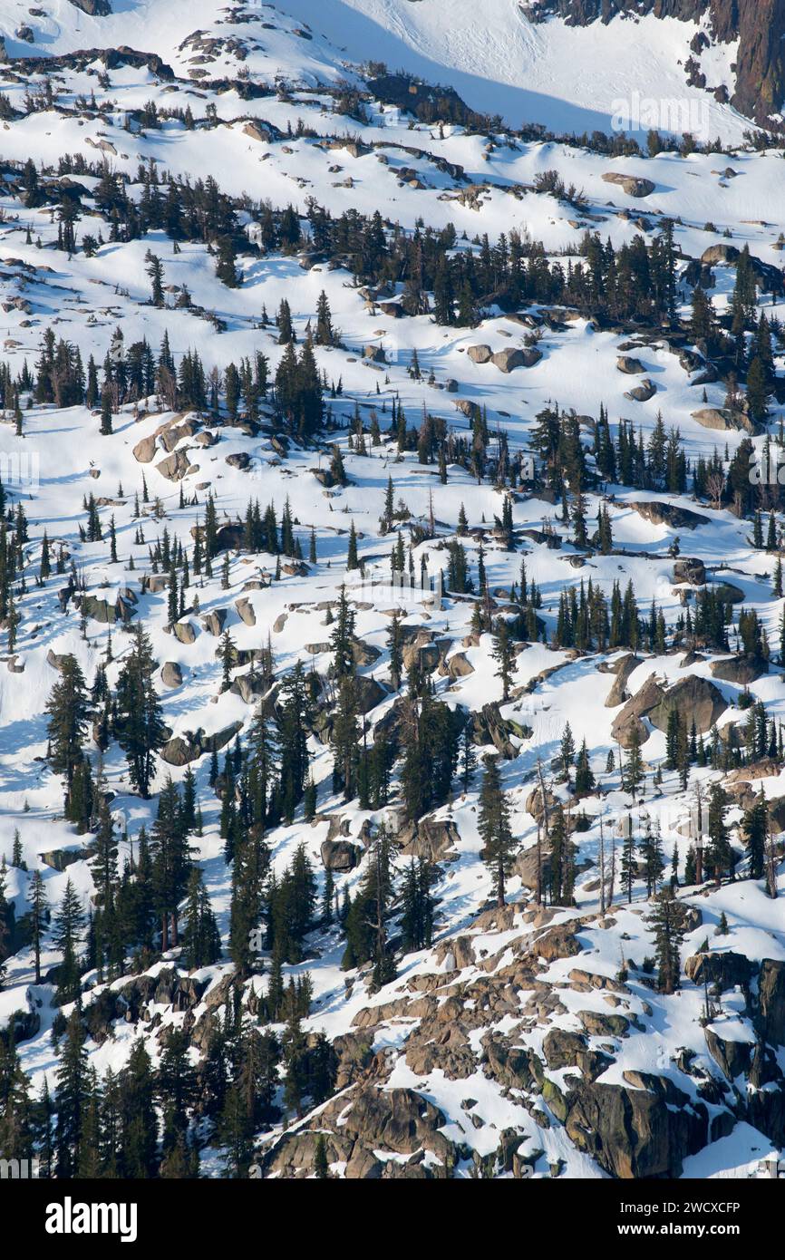 Sierra crest slope from Pacific Crest Trail, Carson Pass National Scenic Byway, El Dorado ...