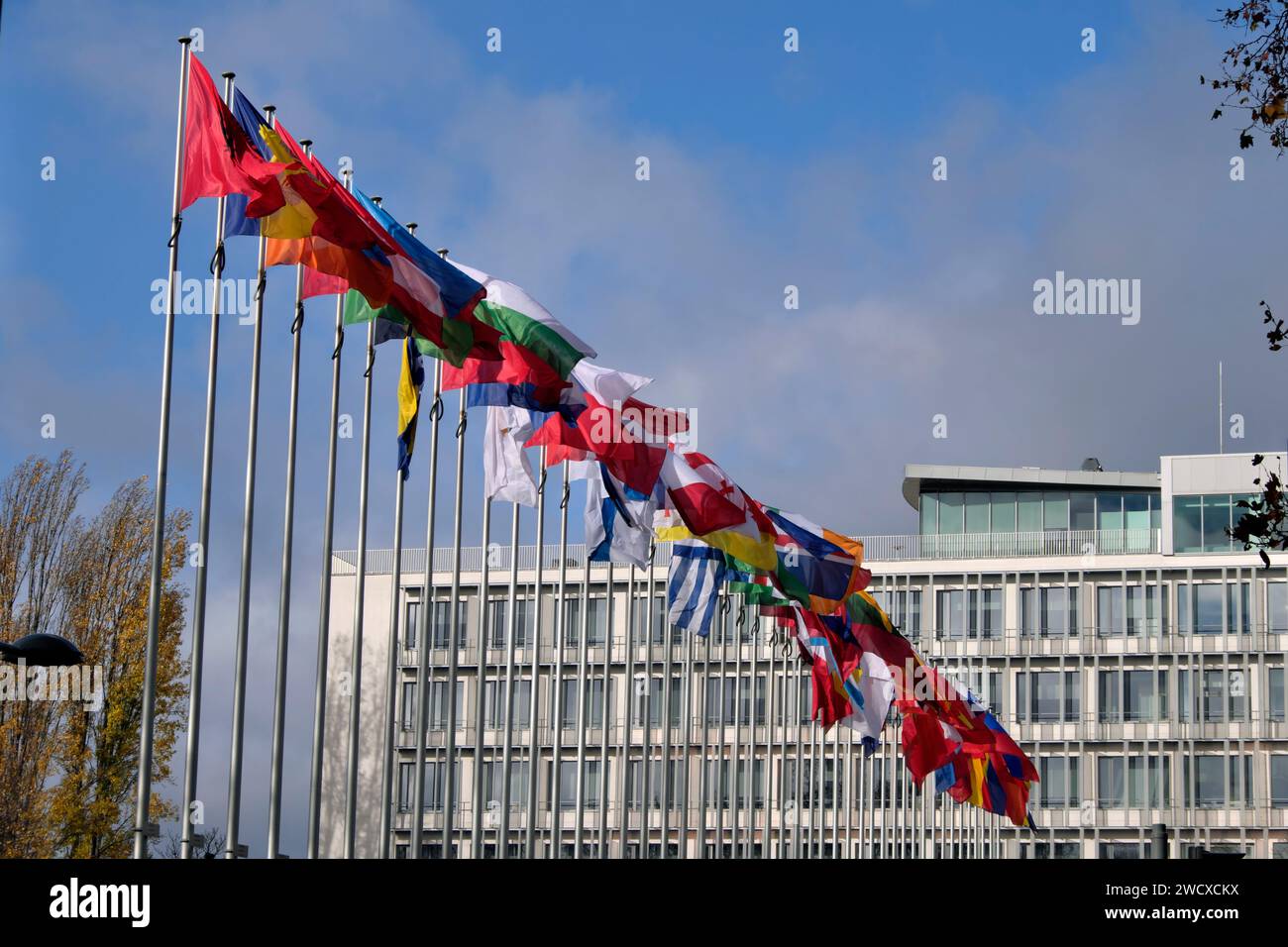 Flag guidance hi-res stock photography and images - Alamy