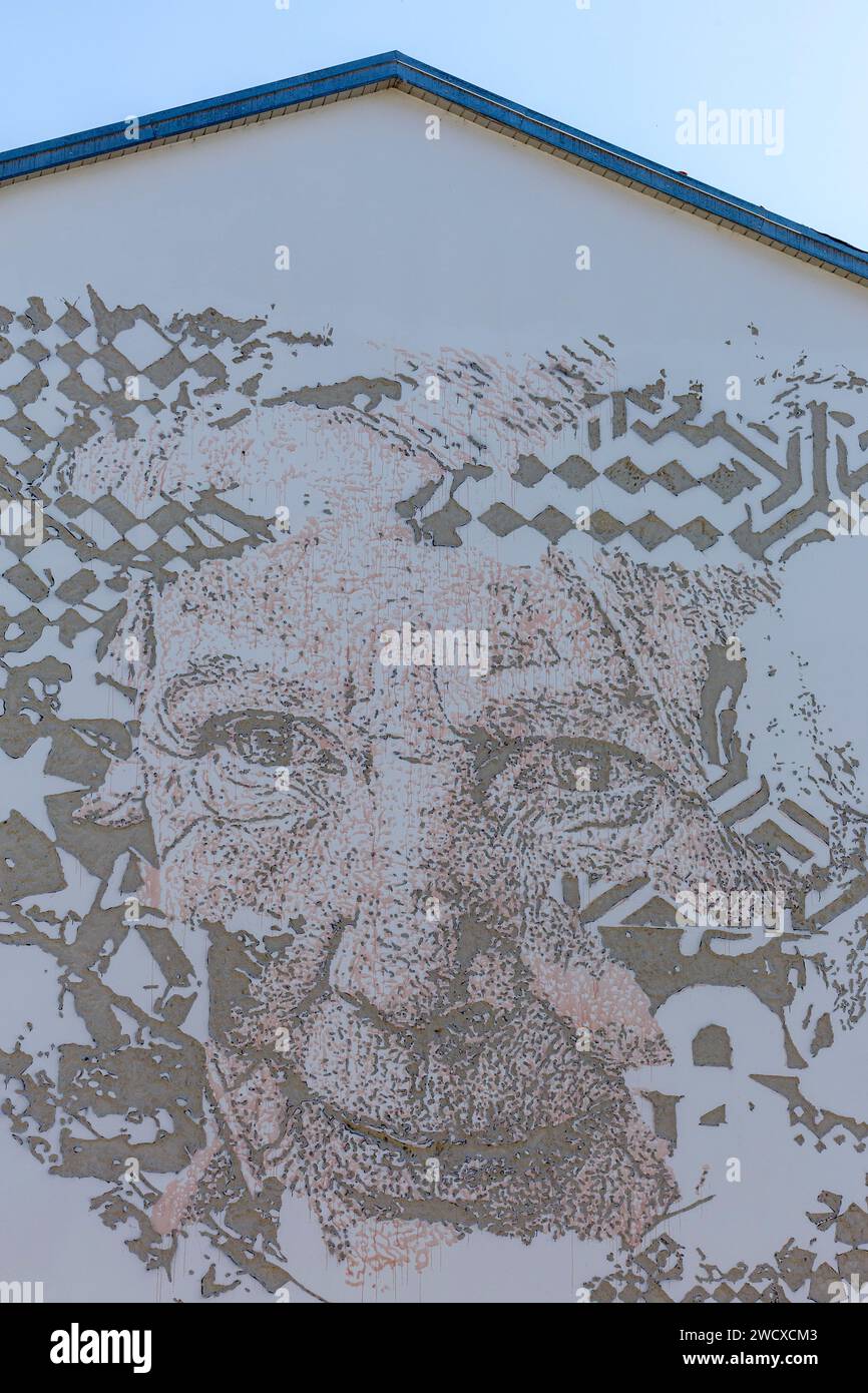 France, Meurthe et Moselle, Nancy, street art mural made by VHILS a ...