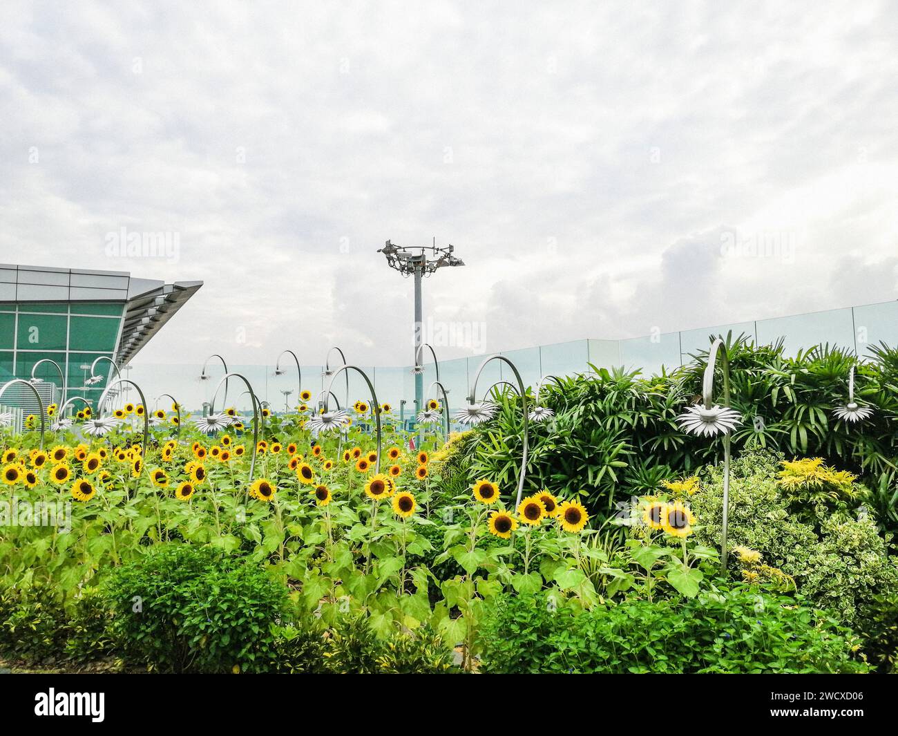 Interior changi international airport hi-res stock photography and ...