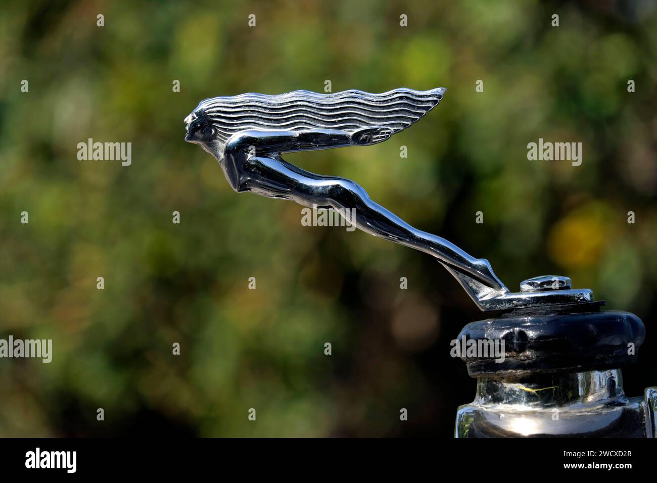 Wing history hi-res stock photography and images - Alamy