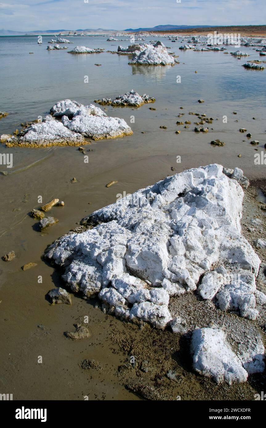 Old Marina Tufa, Mono Basin National Forest Scenic Area, Mono Lake Tufa ...