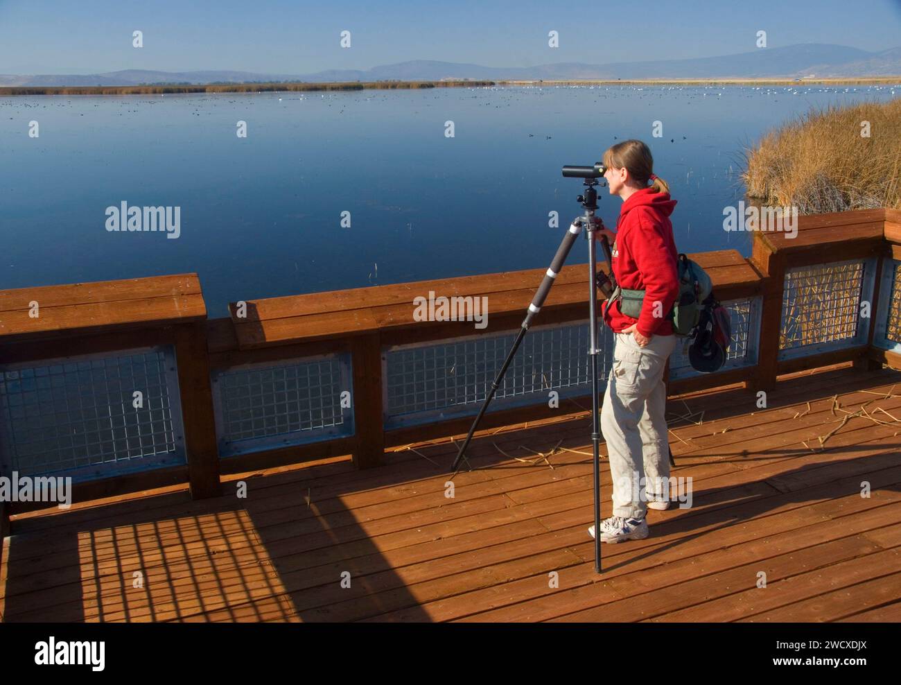 Birding, Lower Klamath National Wildlife Refuge, California Stock Photo ...