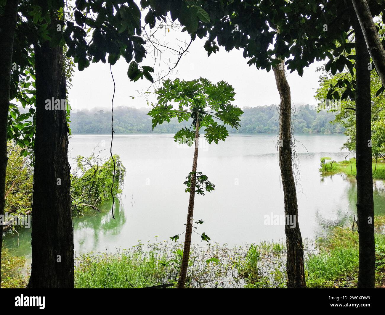 Cambodia, Ratanakiri region, Banlung, Yeak Loam lake Stock Photo - Alamy