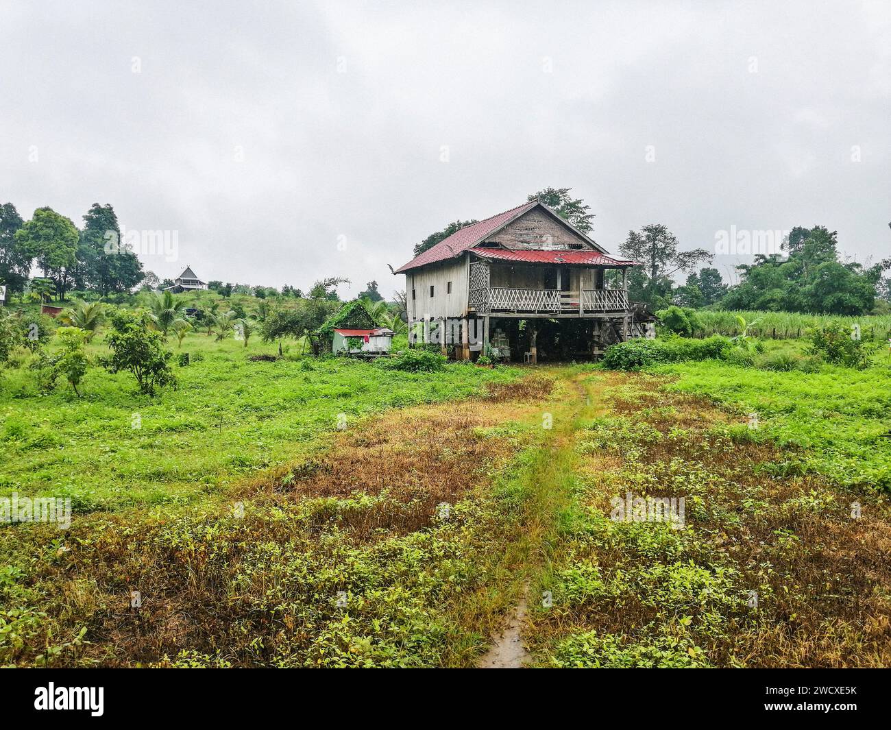 Cambodia, Ratanakiri region, Banlung Stock Photo - Alamy