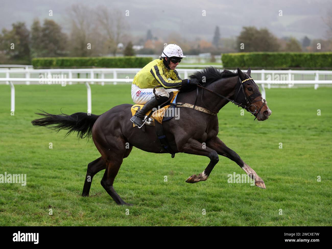 Burdett road horse 2023 hi-res stock photography and images - Alamy