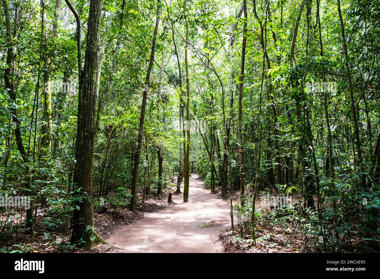 Vietnam, Chu Chi tunnels Stock Photo - Alamy