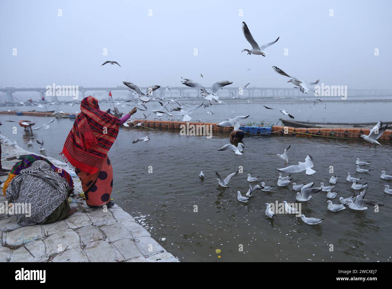 Prayagraj, India. 17 January 2024, A devotee wearing warm clothes feeds ...