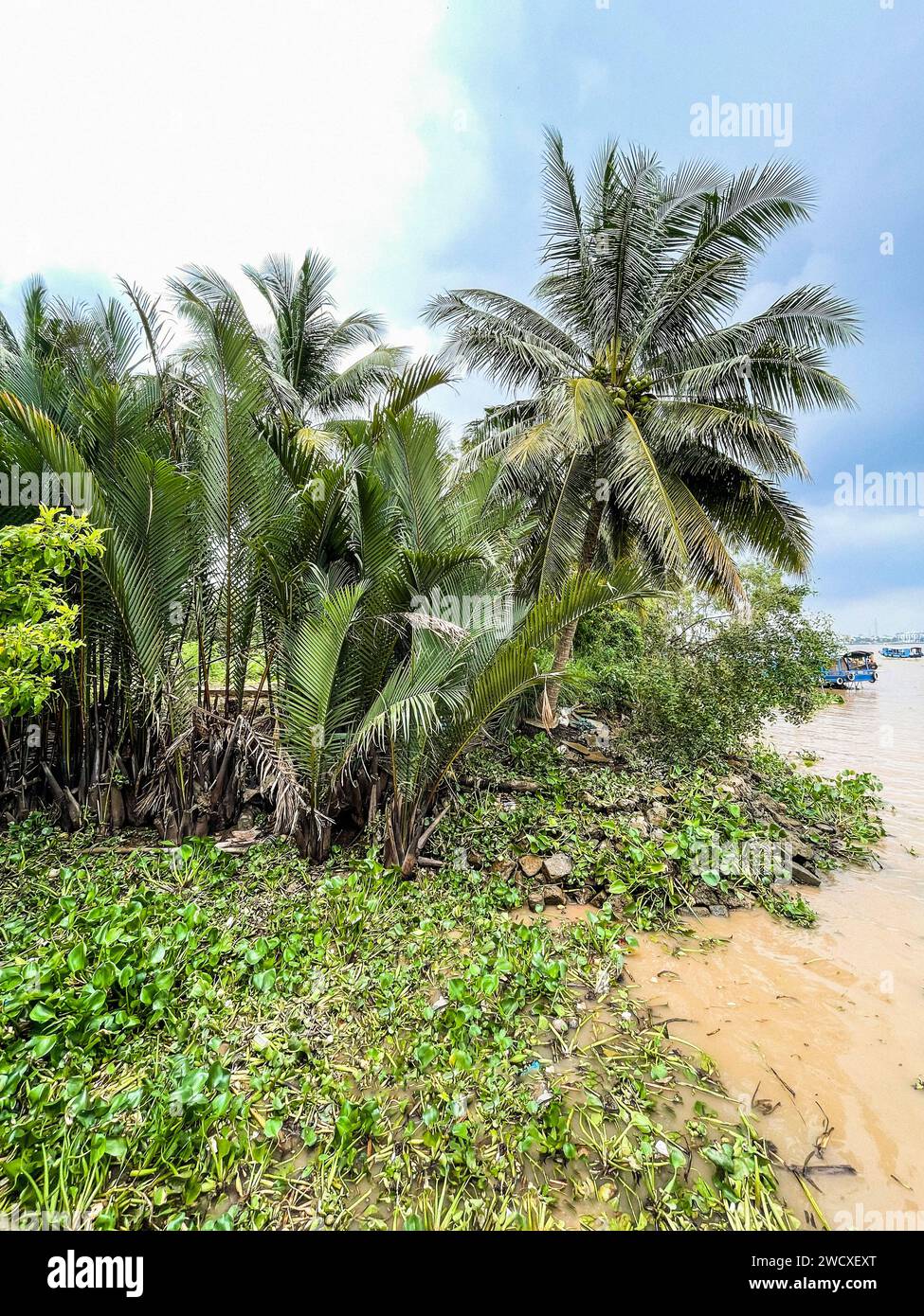Vietnam, Mekong delta, landscape Stock Photo - Alamy