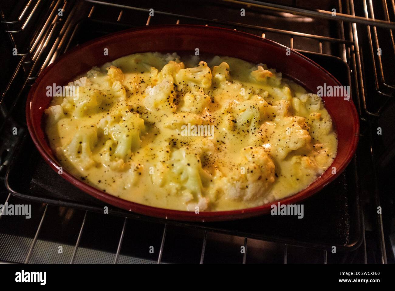Home Cooking - Cauliflower Cheese cooking in an electric fan oven Stock ...