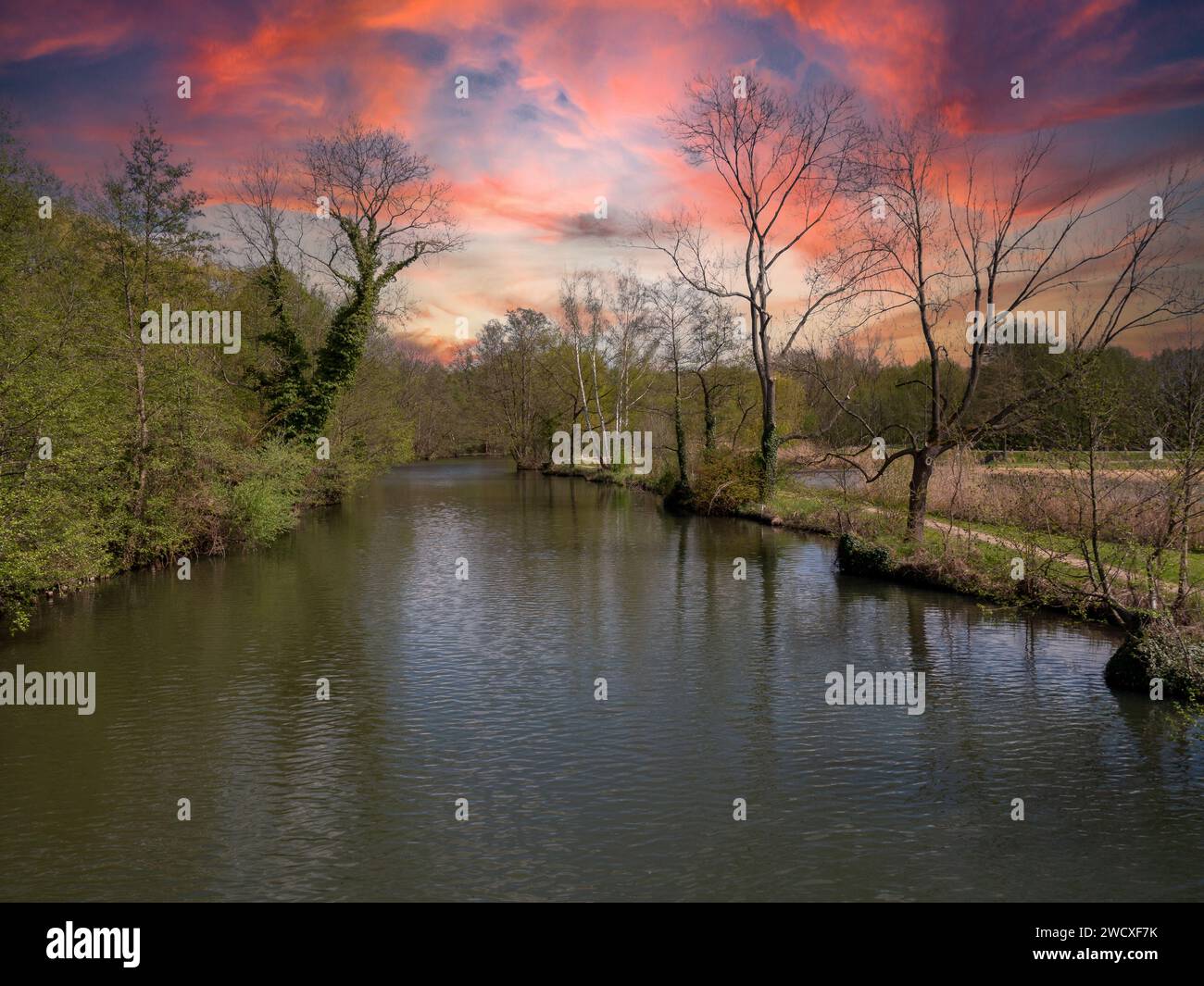 Spreewald river hi-res stock photography and images - Alamy