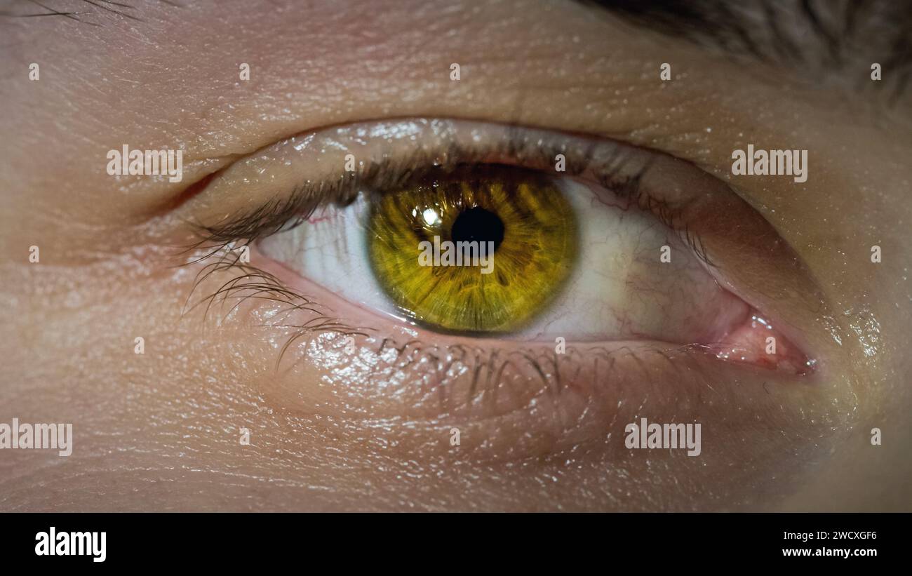 Close up eye blinking slow hi-res stock photography and images - Alamy