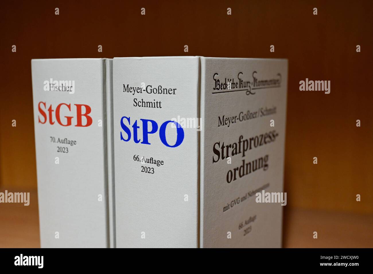 Das Strafgesetzbuch StGB und das Strafprozessordnungs Buch StPO ...