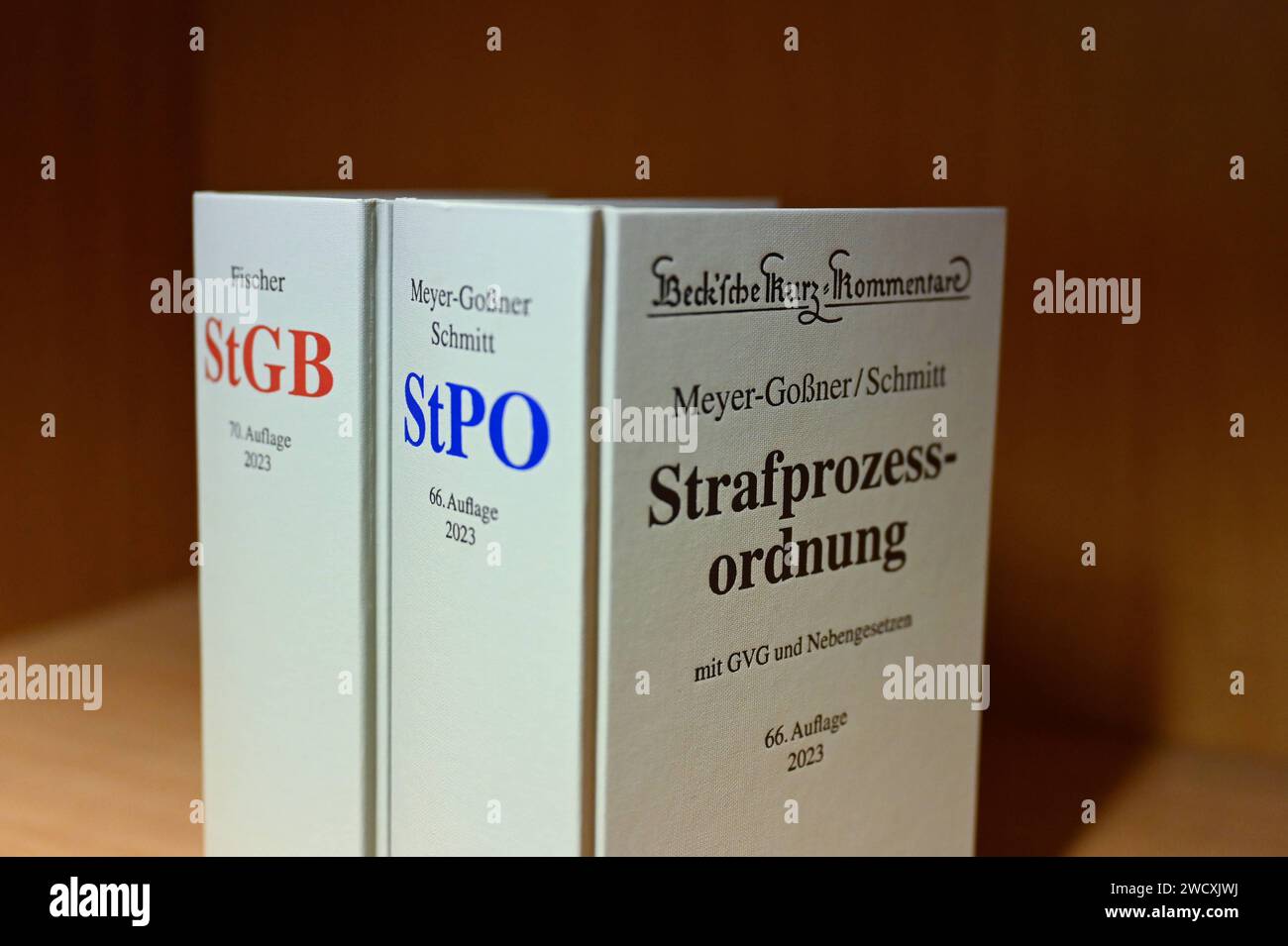 Das Strafgesetzbuch StGB und das Strafprozessordnungs Buch StPO ...