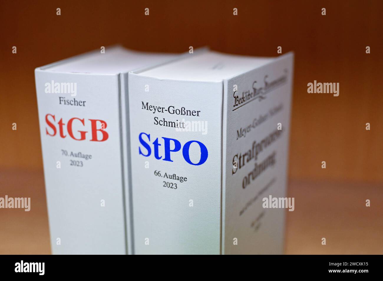 Das Strafgesetzbuch StGB und das Strafprozessordnungs Buch StPO ...