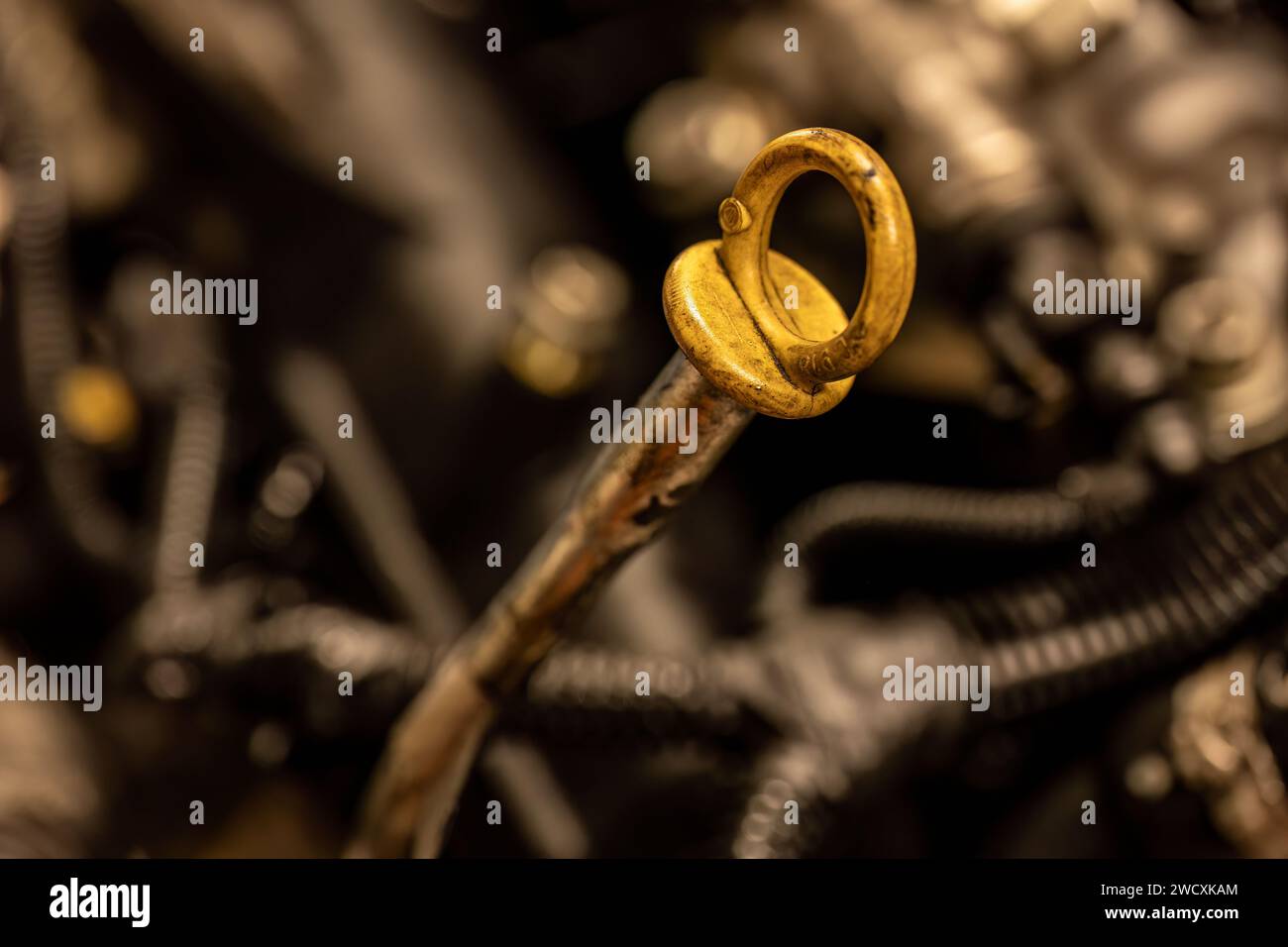 A photo capturing the moment of checking oil level with a dipstick in a ...