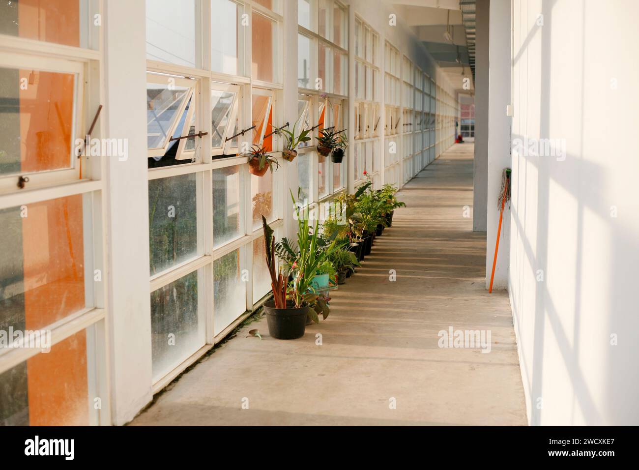 Plants on corridor apartment Stock Photo - Alamy