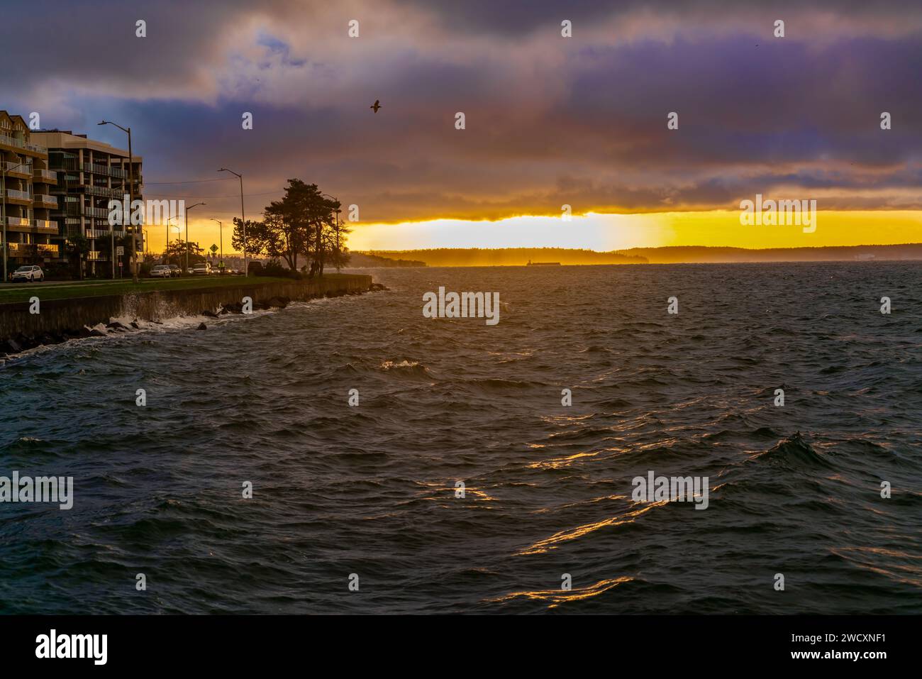 A golden sunset seen from Alki Beach in West Seattle, Washington Stock ...