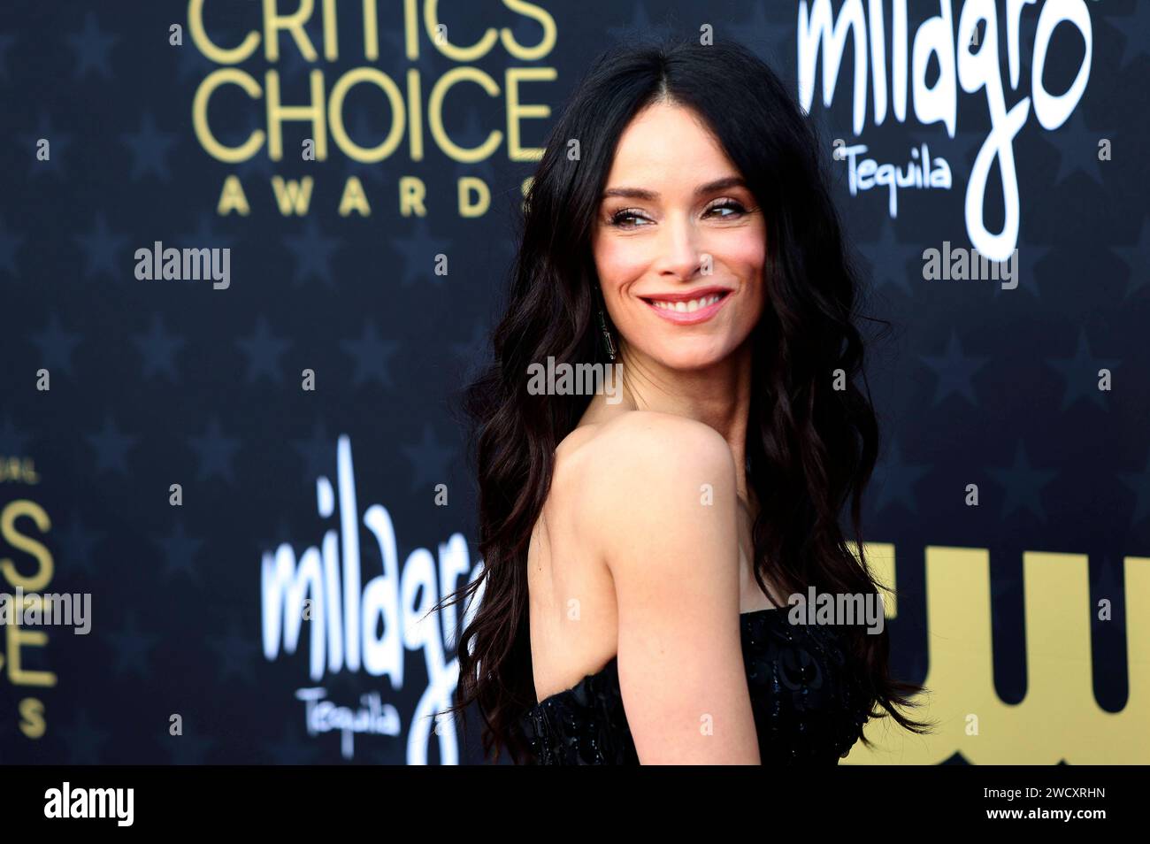 Abigail Spencer bei der Verleihung der 29. Critics Choice Awards im Barker Hangar. Santa Monica ...