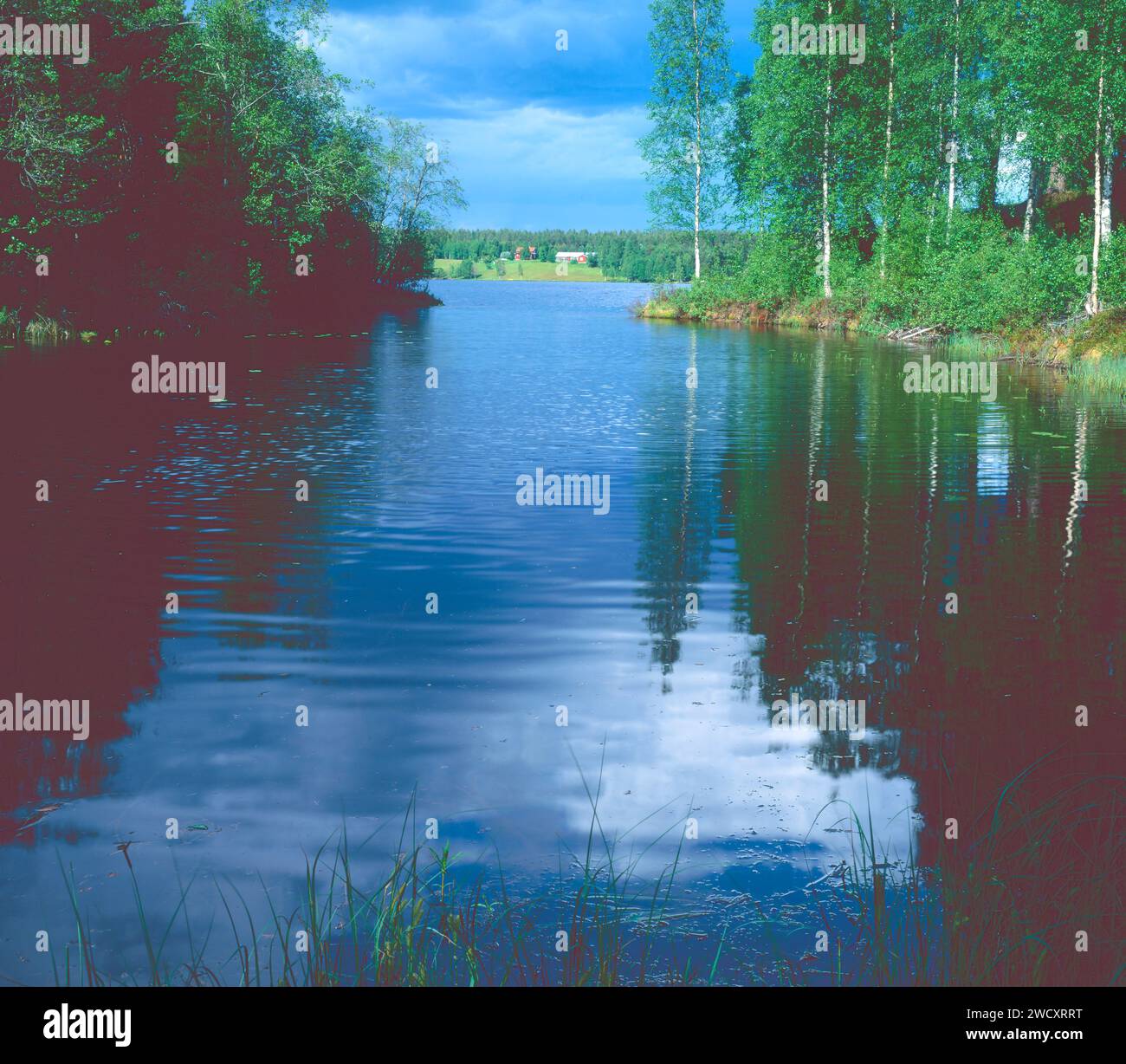 Lake and small farm, Sweden Stock Photo - Alamy