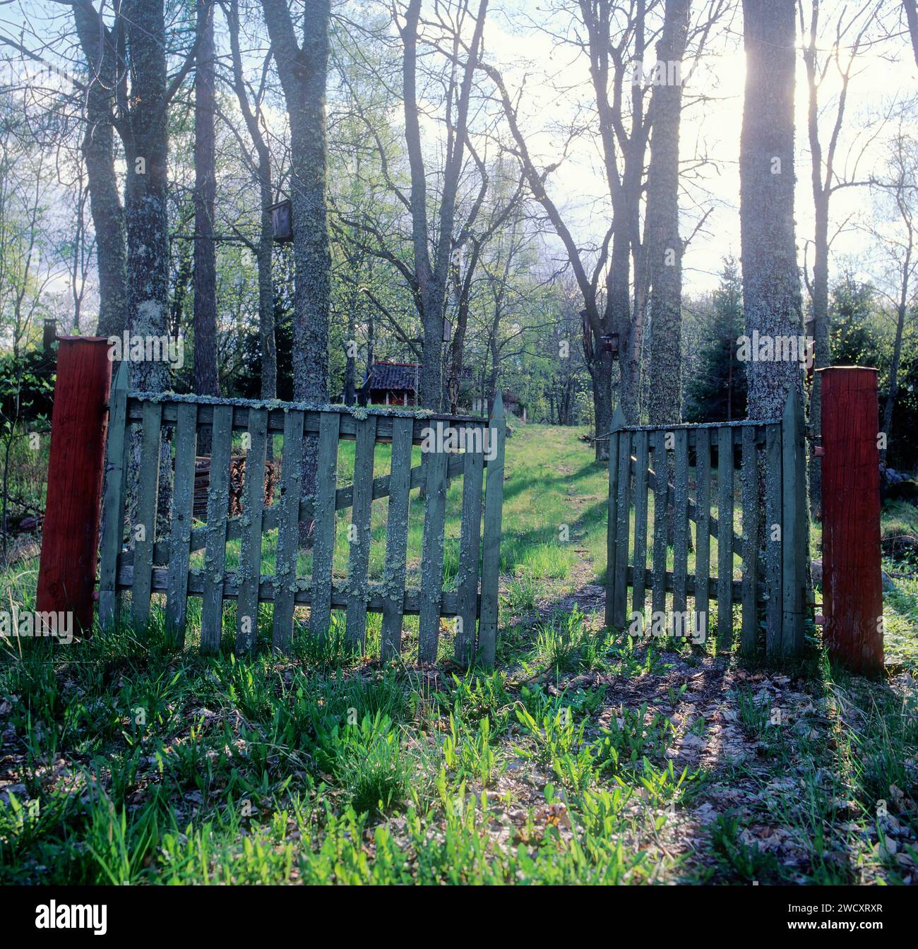 Old wooden gate Stock Photo - Alamy