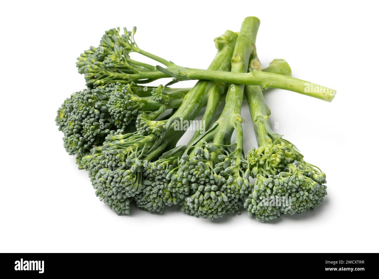 Fresh raw green bimi, broccolini, vegetable close up isolated on white ...