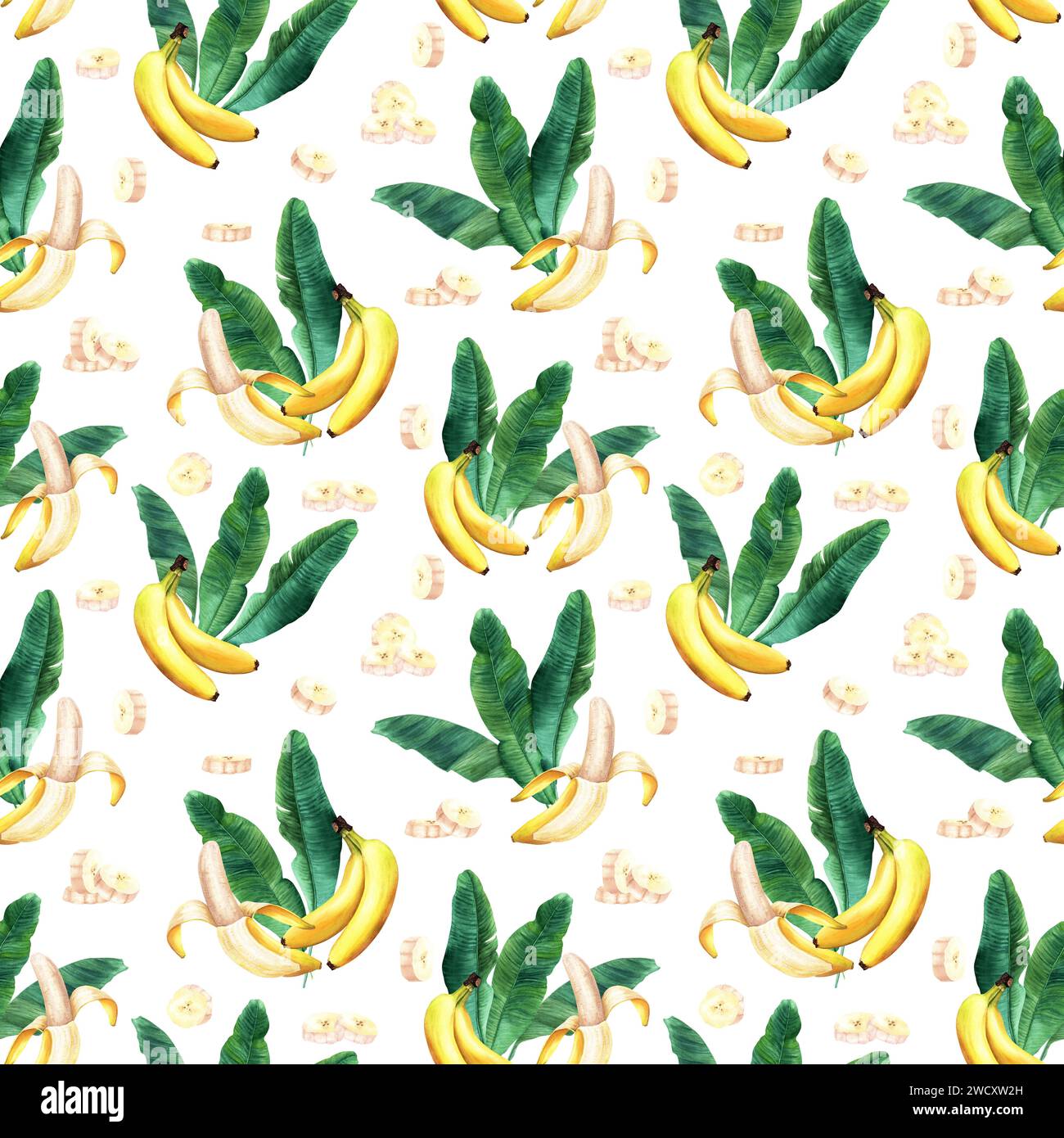 Musa banana leaf pattern Cut Out Stock Images & Pictures - Alamy