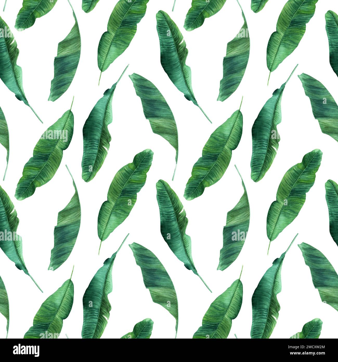 Watercolor seamless pattern with banana tree leaves. Hand drawn ...