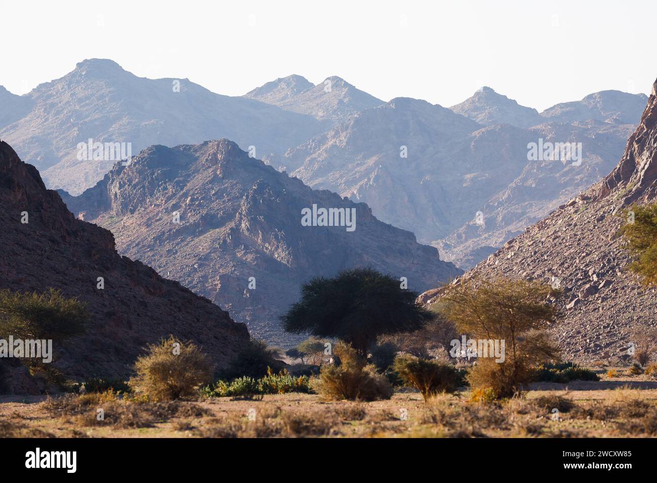 landscape, paysage, moutains during the Stage 10 of the Dakar 2024 on ...