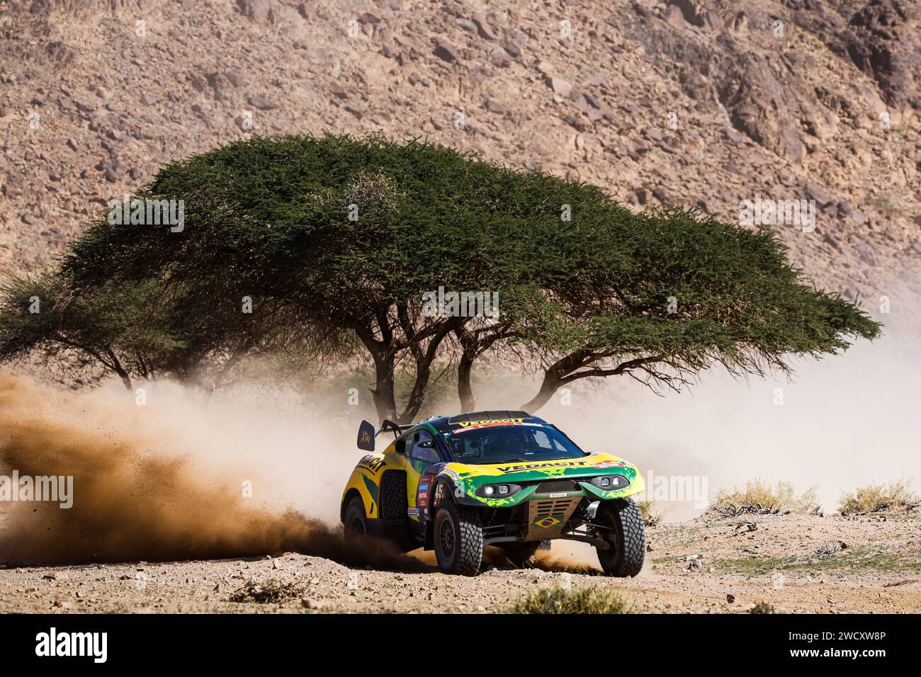 245 BAUMGART Christian (bra), ANDREOTTI Alberto (bra), X-Rally Team ...