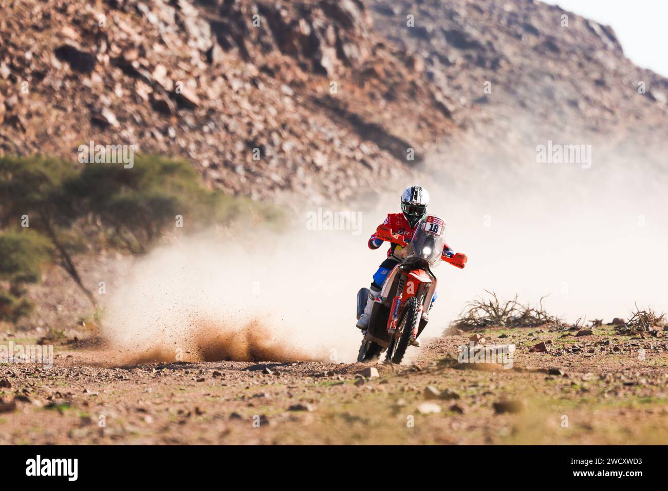 18 COX Bradley (zaf), BAS World KTM Racing Team, KTM, Moto, FIM W2RC, action during the Stage 10 ...