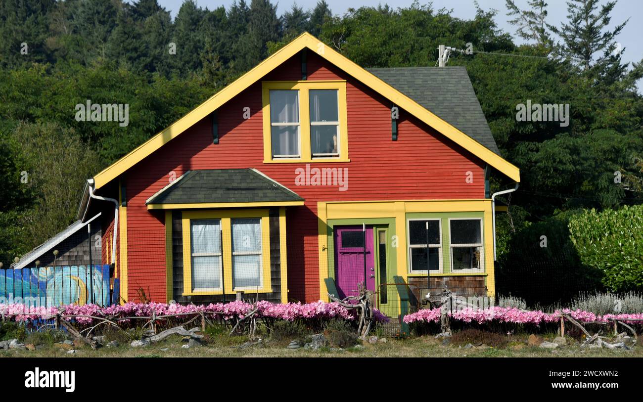 Wooden, colorfully painted home has a fence of pink flowers and ...