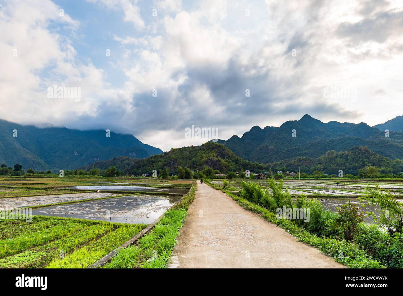 Mai Chau village landscape with rice paddy fields in North Vietnam. Mai ...