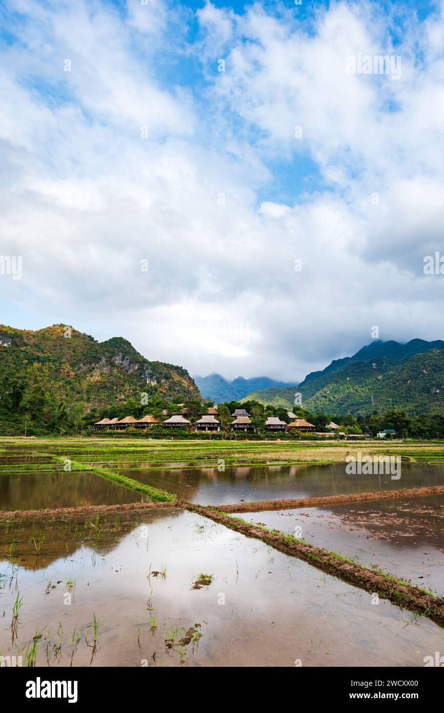 Mai Chau village landscape with rice paddy fields in North Vietnam. Mai ...