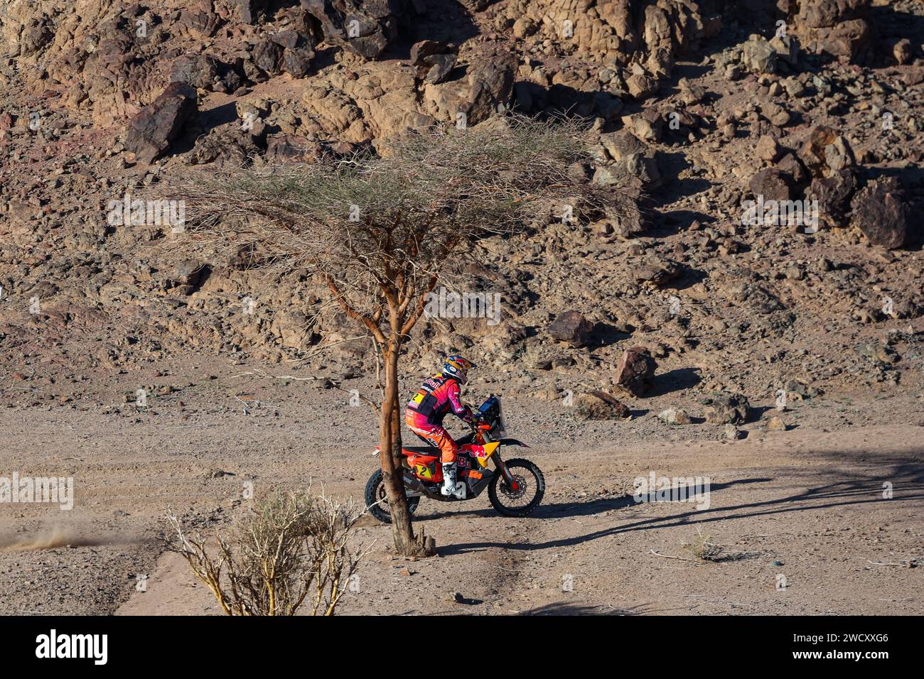 02 PRICE Toby (aus), Red Bull KTM Factory Racing, KTM, Moto, action ...