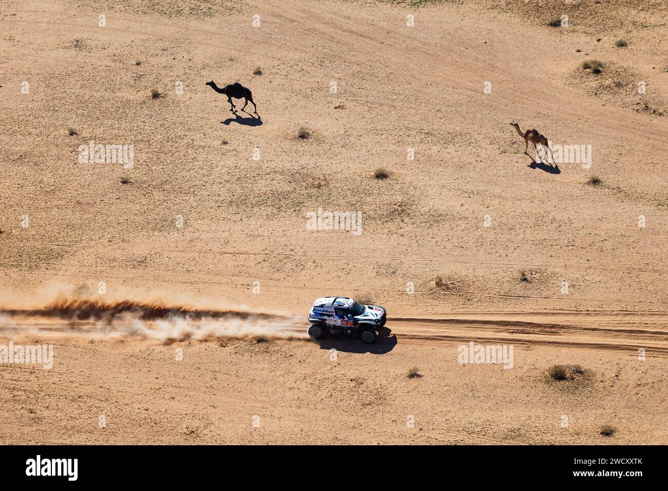 217 HOLOWCZYC Krzysztof (pol), KURZEJA ?ukasz (pol), X-Raid Mini JCW ...