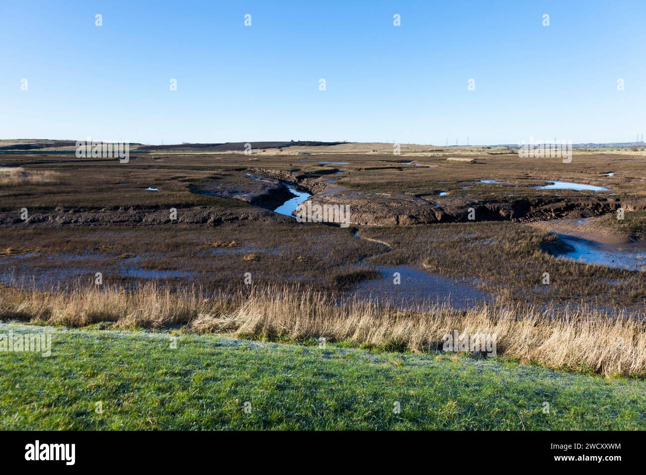 Wildlife paradise in an industrial landscape at Greatham, Seal Sands ...