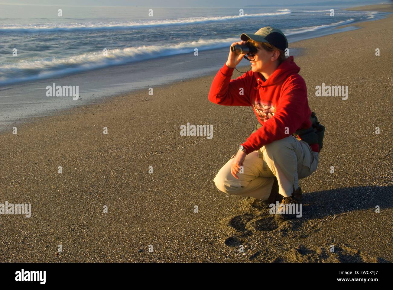 Birding on the beach, Harry A Merlo State Park, California Stock Photo ...