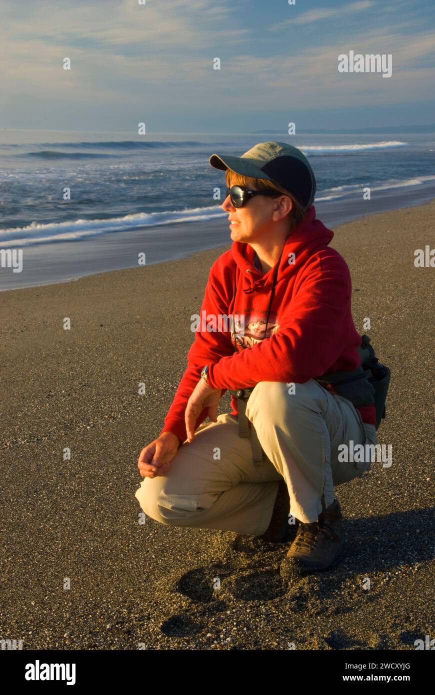 Beach, Harry A Merlo State Park, California Stock Photo - Alamy