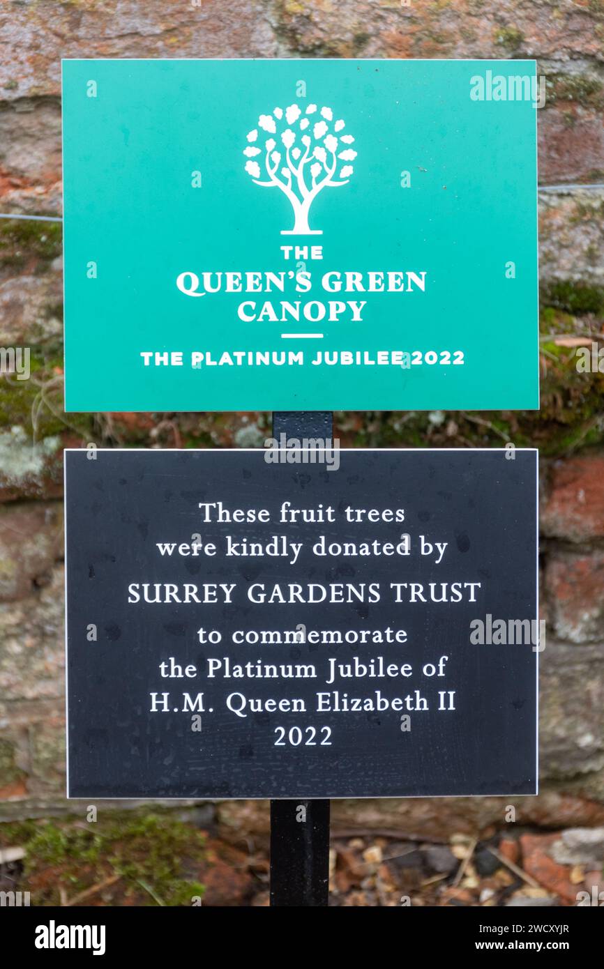 The Queen's Green Canopy, tree planted to celebrate the Platinum ...