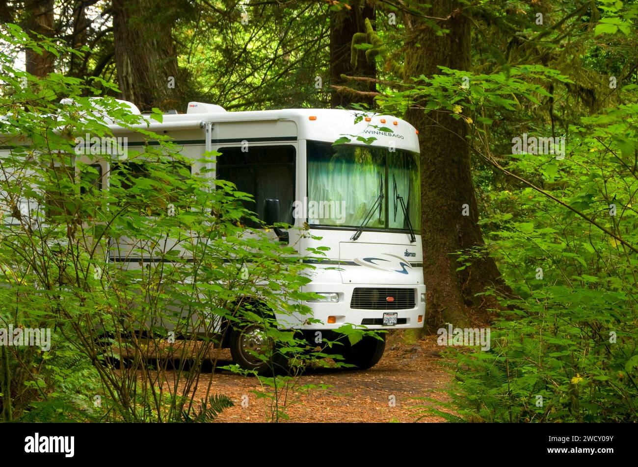 Motorhome in campground, Prairie Creek Redwoods State Park, Redwood ...