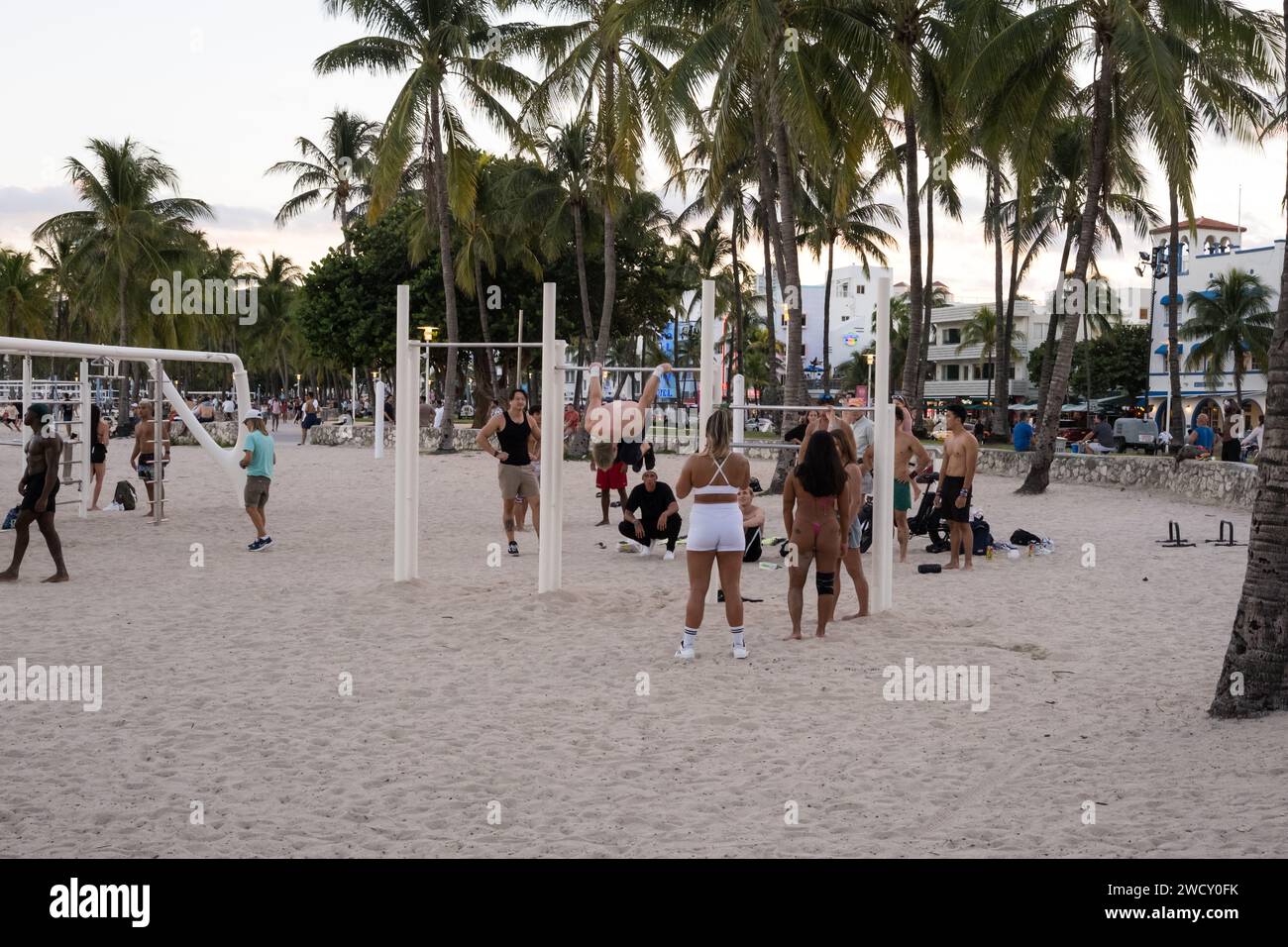 Muscle beach south beach miami hi-res stock photography and images - Alamy