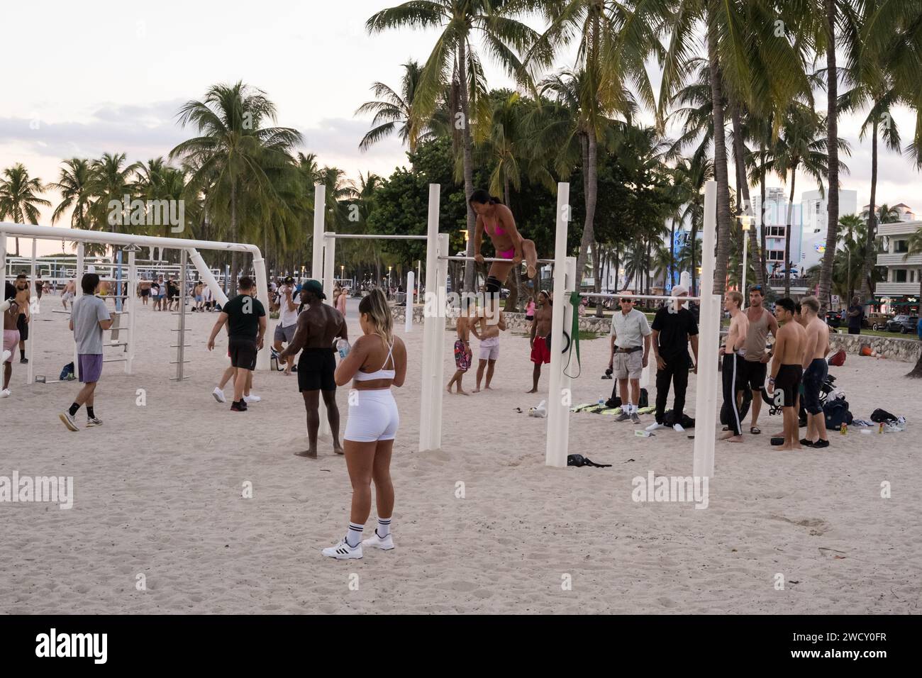 Muscle beach florida hi-res stock photography and images - Alamy