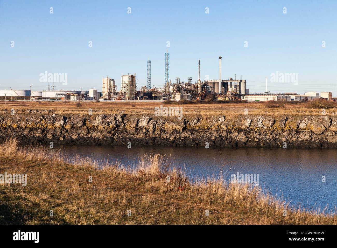 Wildlife paradise in an industrial landscape at Greatham, Seal Sands ...