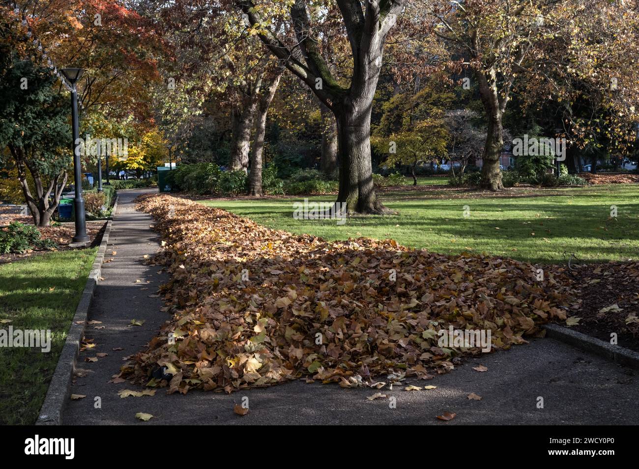 Denny park hi-res stock photography and images - Alamy