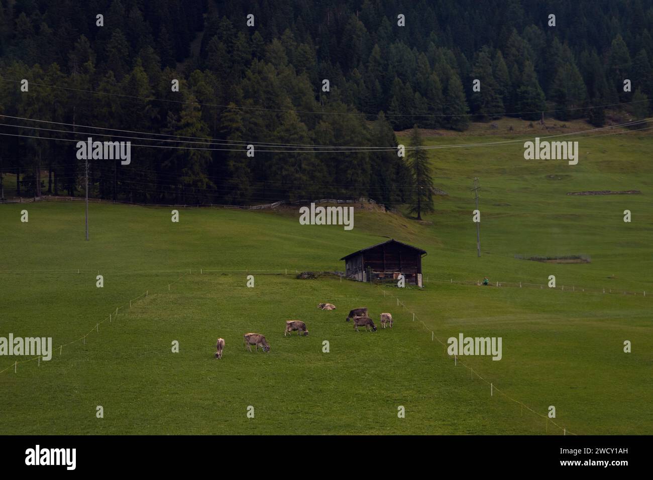 Pastoral harmony hi-res stock photography and images - Alamy