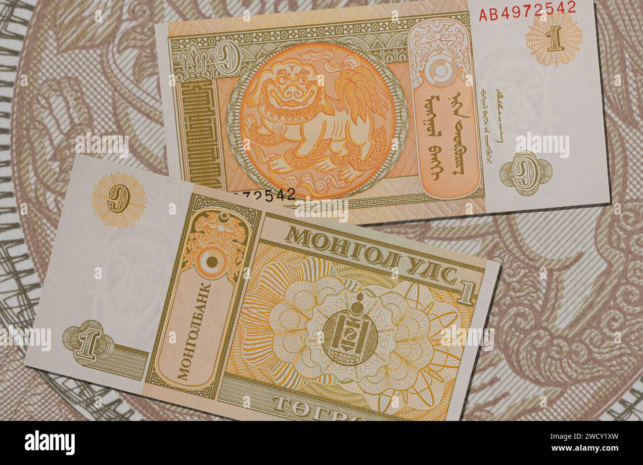 A top view of Mongolian togrog banknotes Stock Photo - Alamy